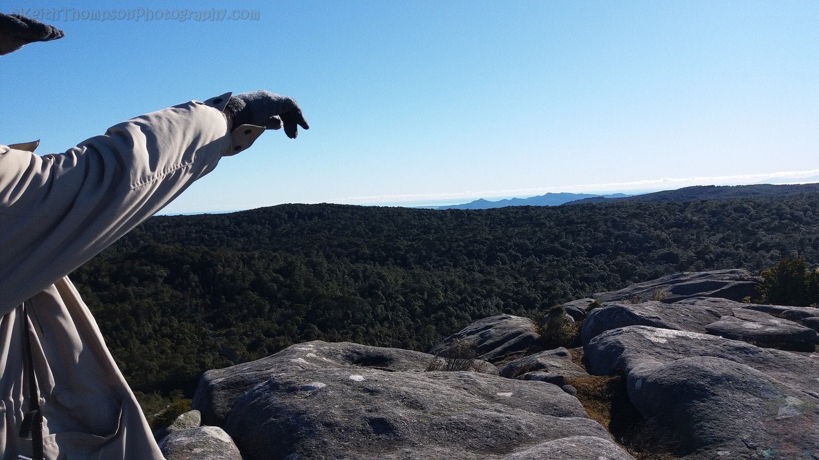The Anchor Stamper Walk, Blue Tier | All Over Australia
