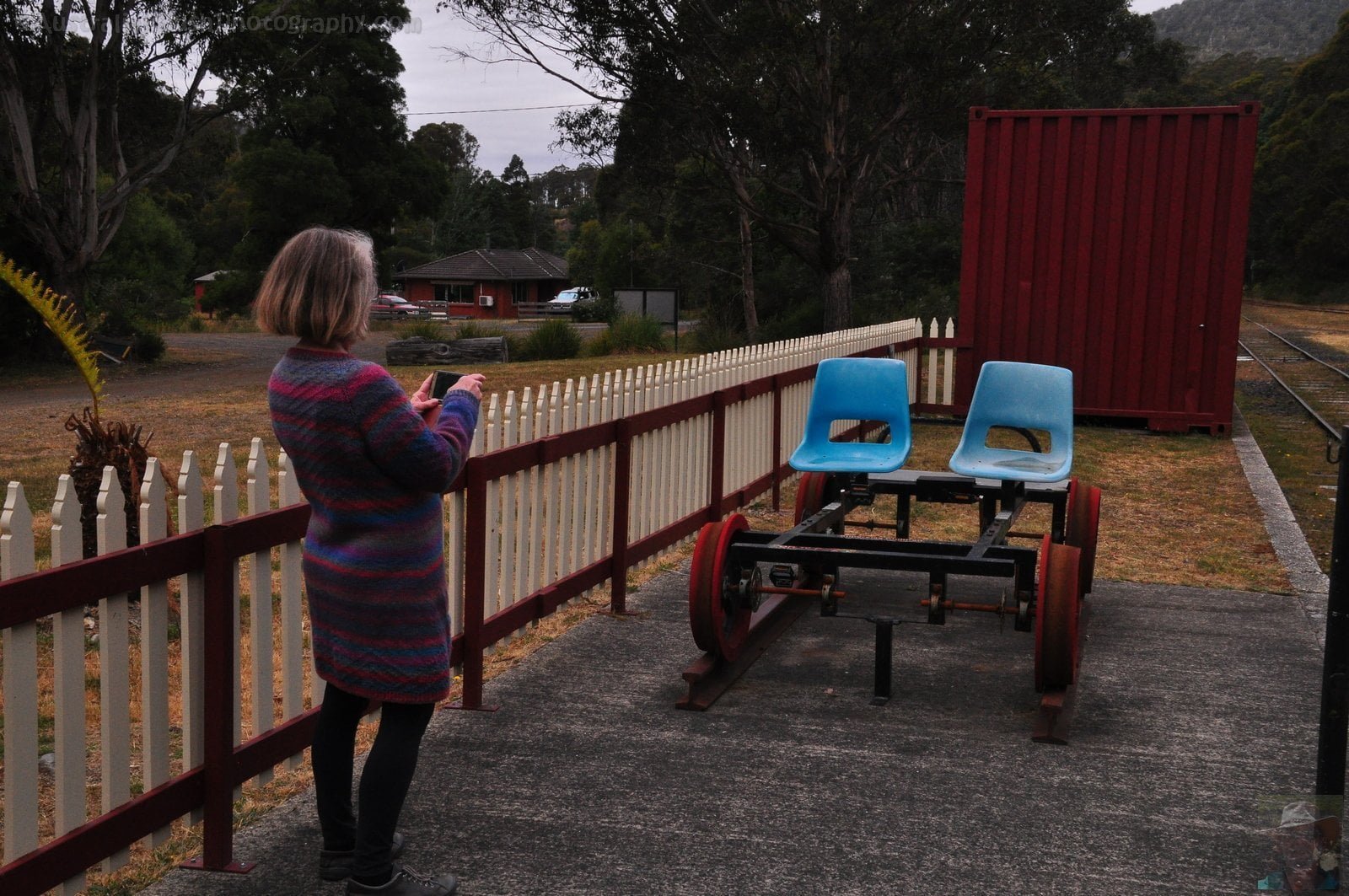 Mount Field Campground | All Over Australia
