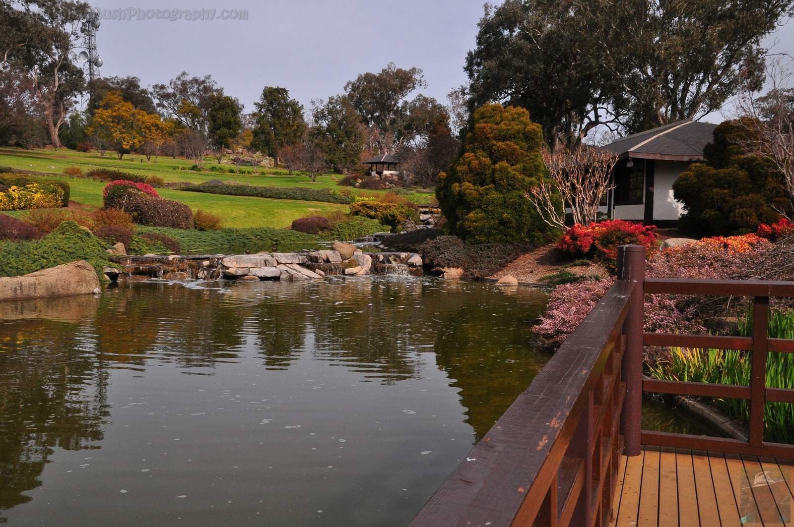 Cowra Japanese Gardens | All Over Australia