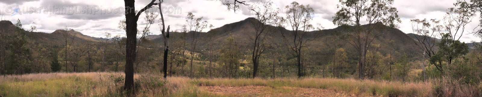 Glen Rock State Forest Reserve | All Over Australia