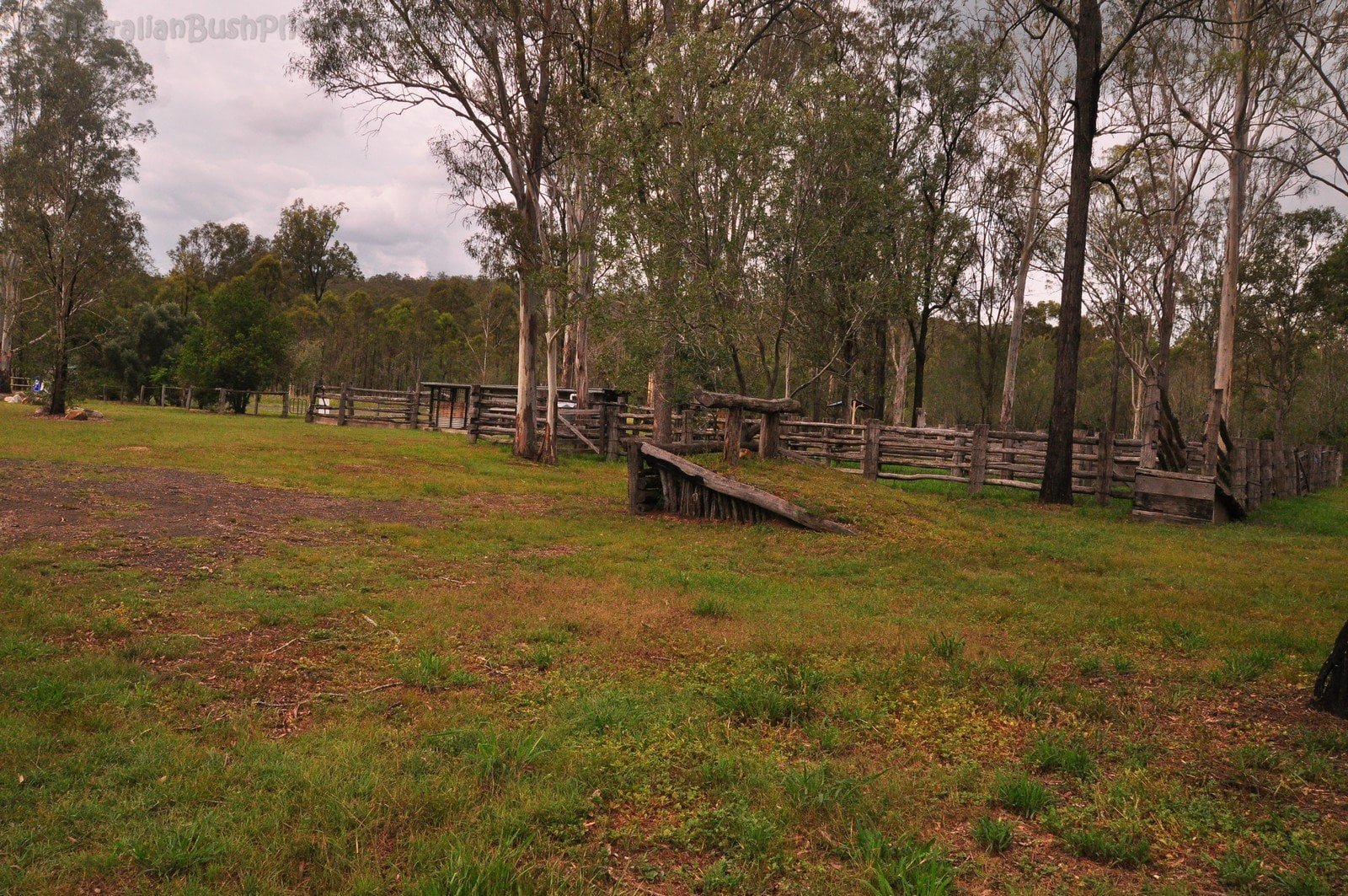 Harding's Paddock | All Over Australia