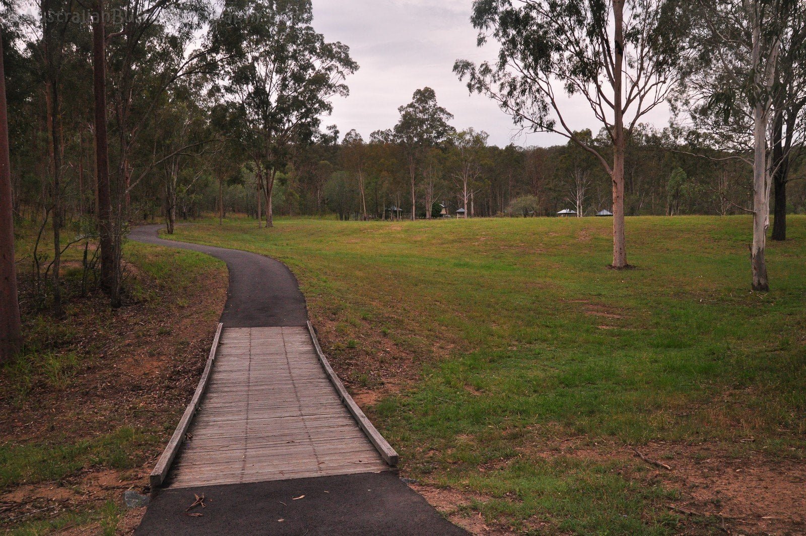 Harding's Paddock | All Over Australia
