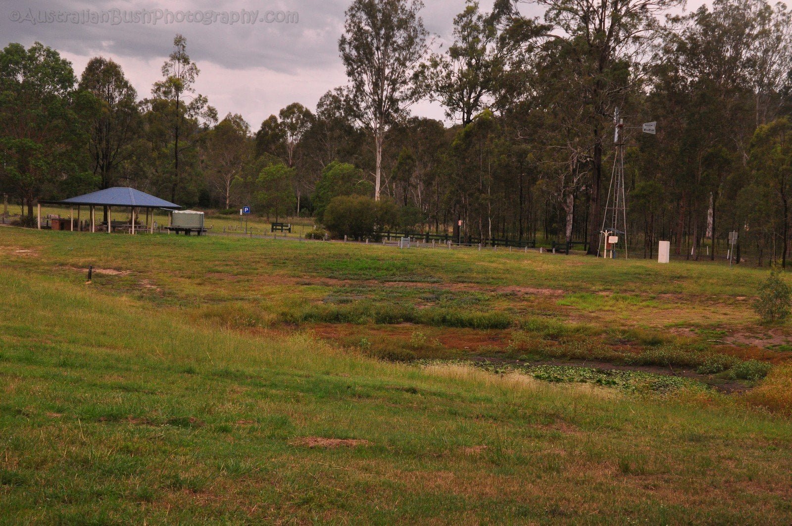 Harding's Paddock | All Over Australia