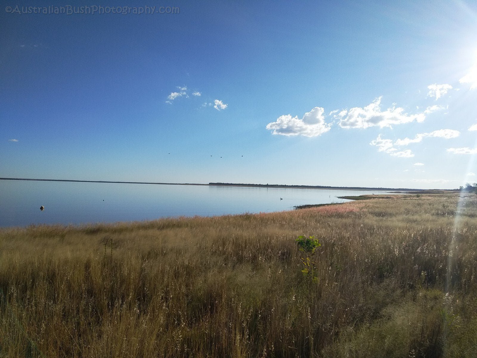 Lake Maraboon | All Over Australia