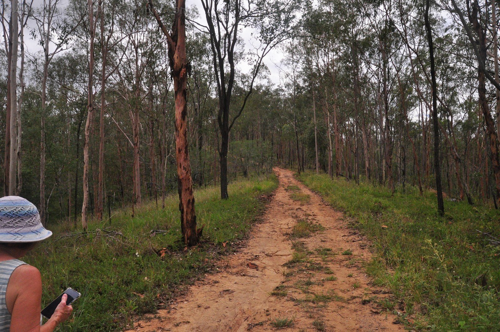 Harding's Paddock | All Over Australia