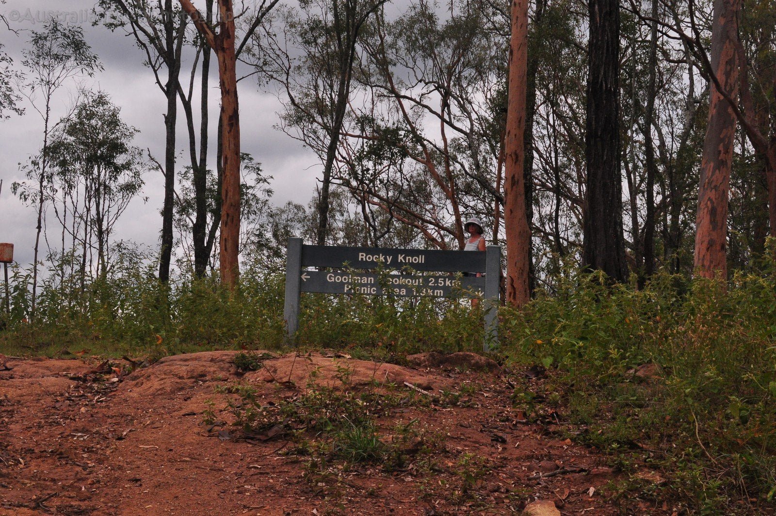 Harding's Paddock | All Over Australia