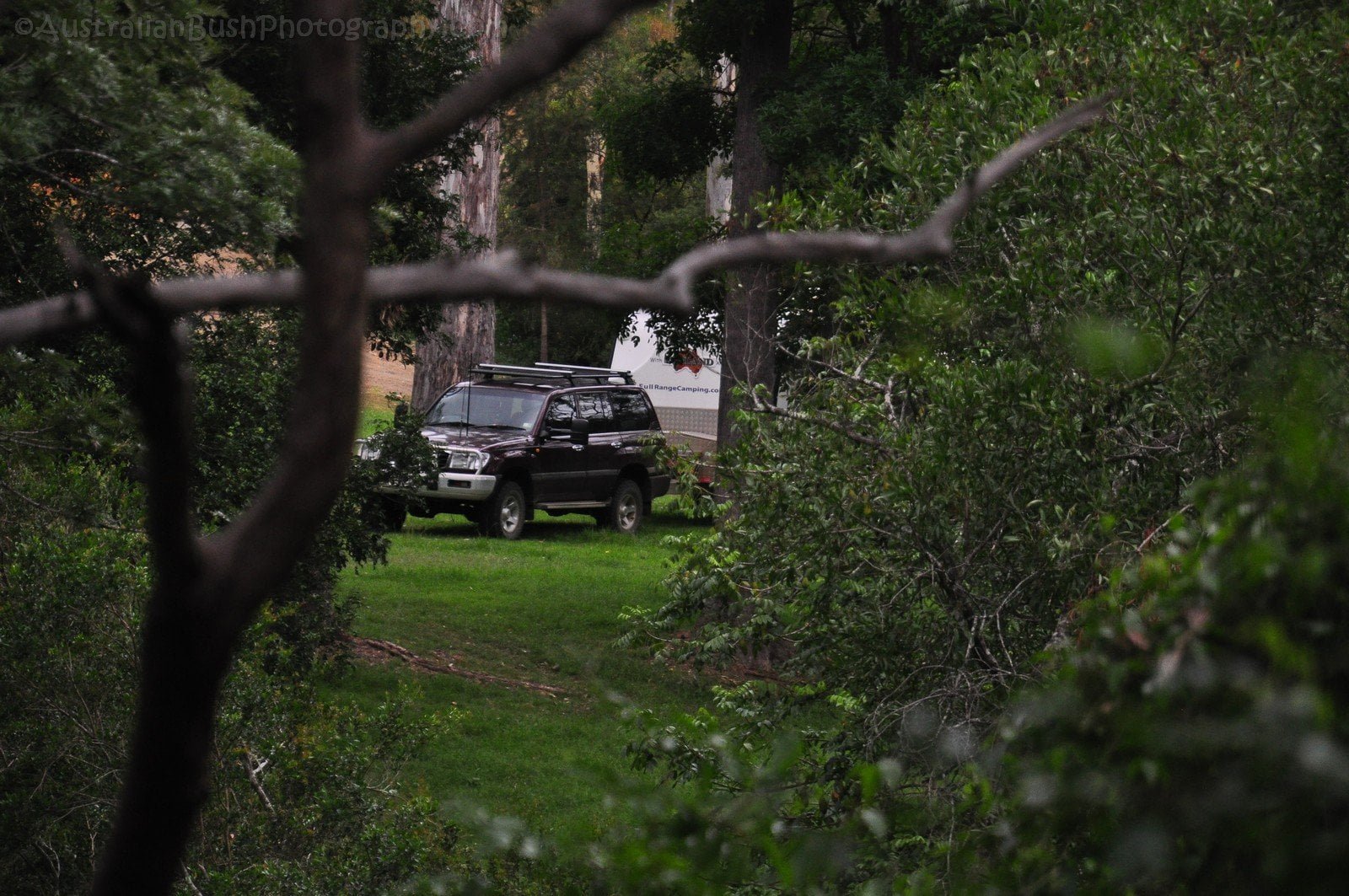 Jimna Forest Araucaria and Yabba Creek Circuit | All Over Australia