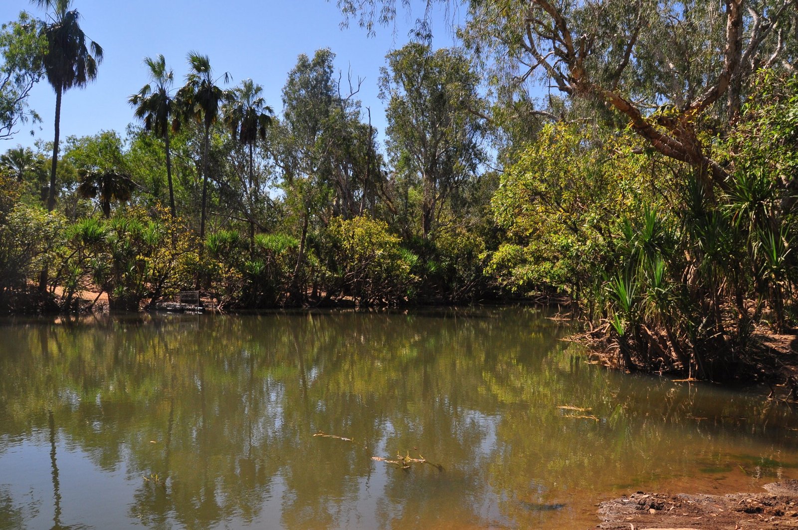 Elsey National Park | All Over Australia