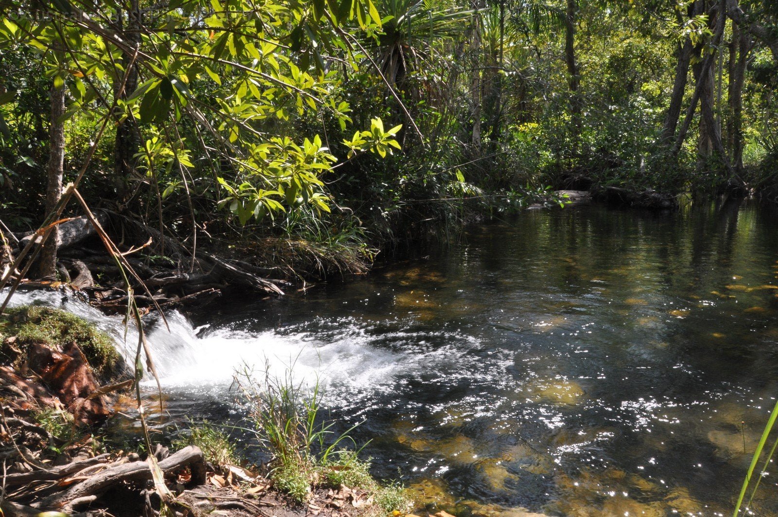 Litchfield National Park - Part 7 - Walker Creek | All Over Australia