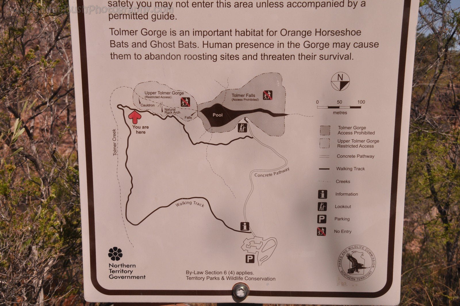 Litchfield National Park - Part 2 - Tabletop Swamp and Tolmer Falls ...