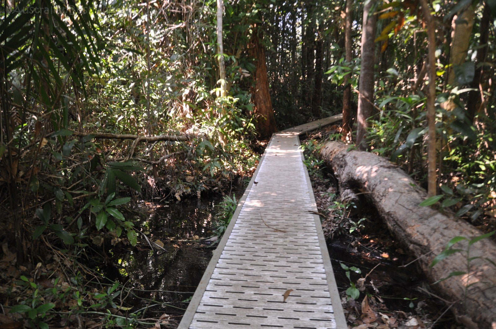 Litchfield National Park - Part 7 - Walker Creek | All Over Australia