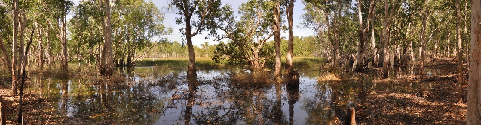 Litchfield National Park - Part 2 - Tabletop Swamp and Tolmer Falls ...