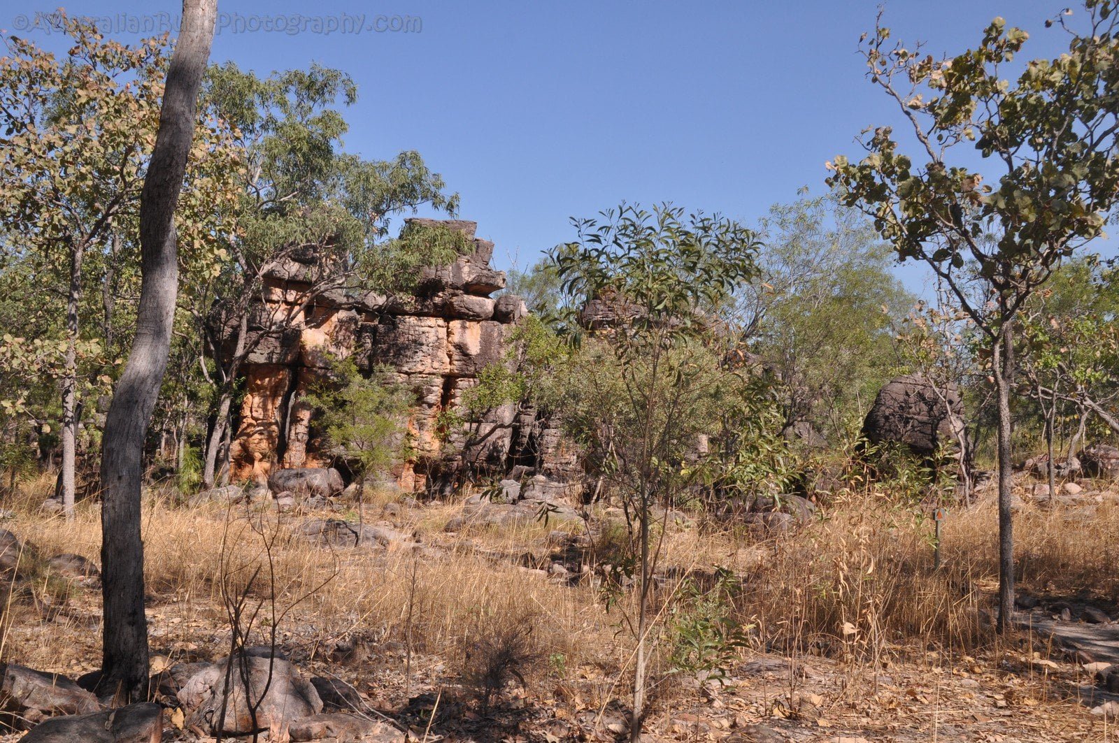 Litchfield National Park - Part 8 - The Lost City | All Over Australia