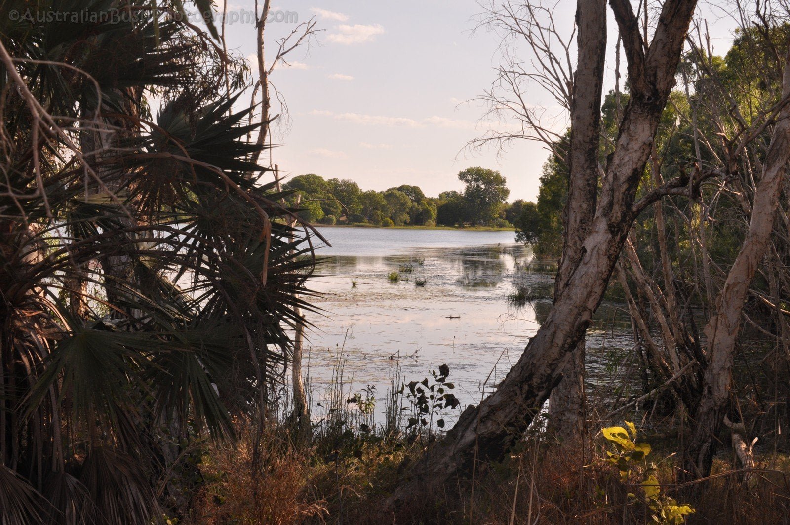 Kakadu - Jabiru | All Over Australia