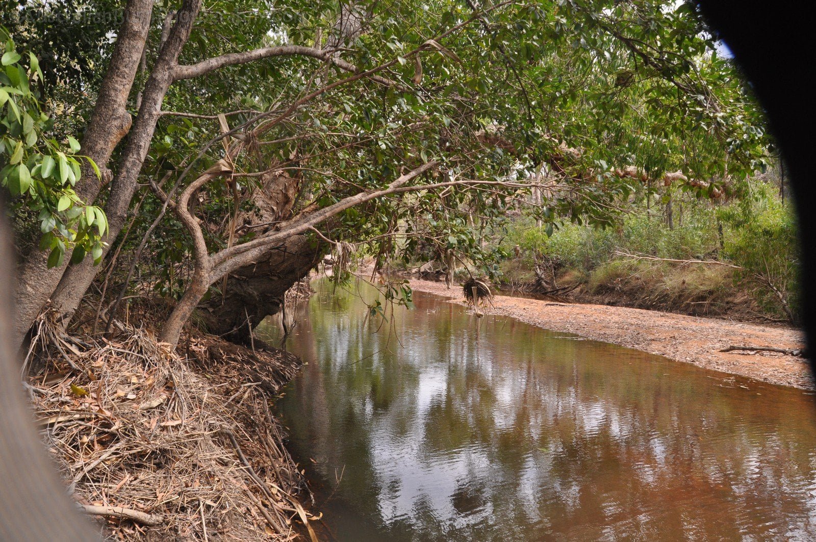 Umbrawarra Gorge | All Over Australia