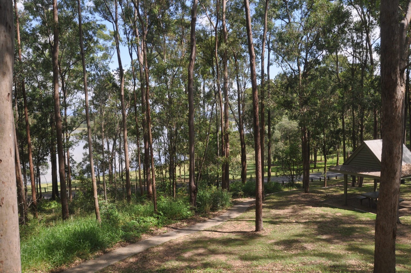 Walks in Pine Rivers 1 - Lake Samsonvale | All Over Australia