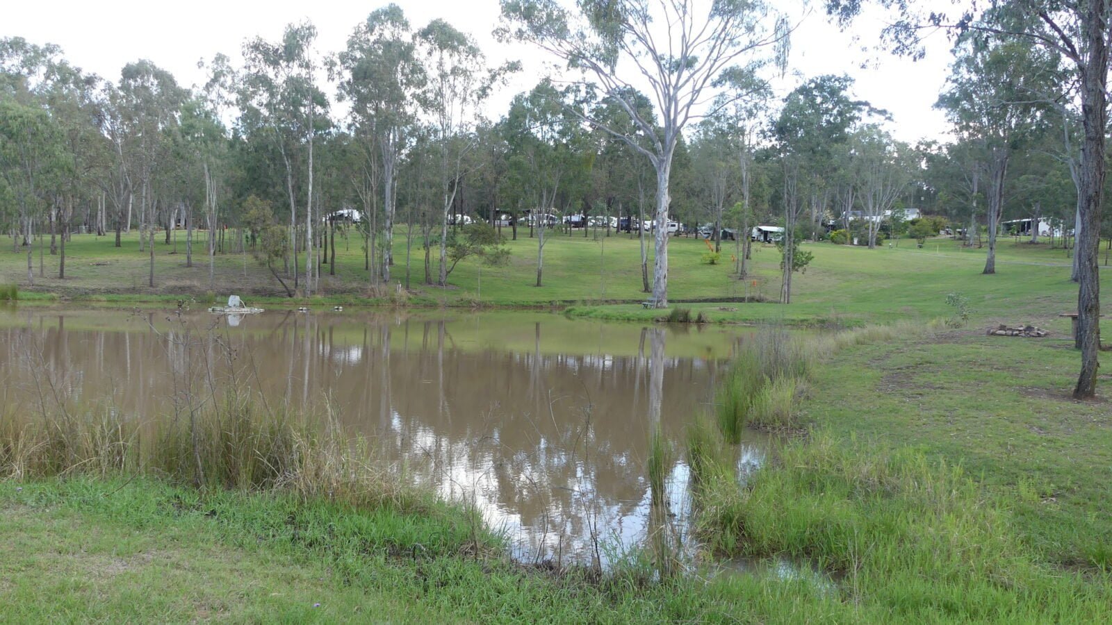 Barambah Bush Caravan Park – All Over Australia