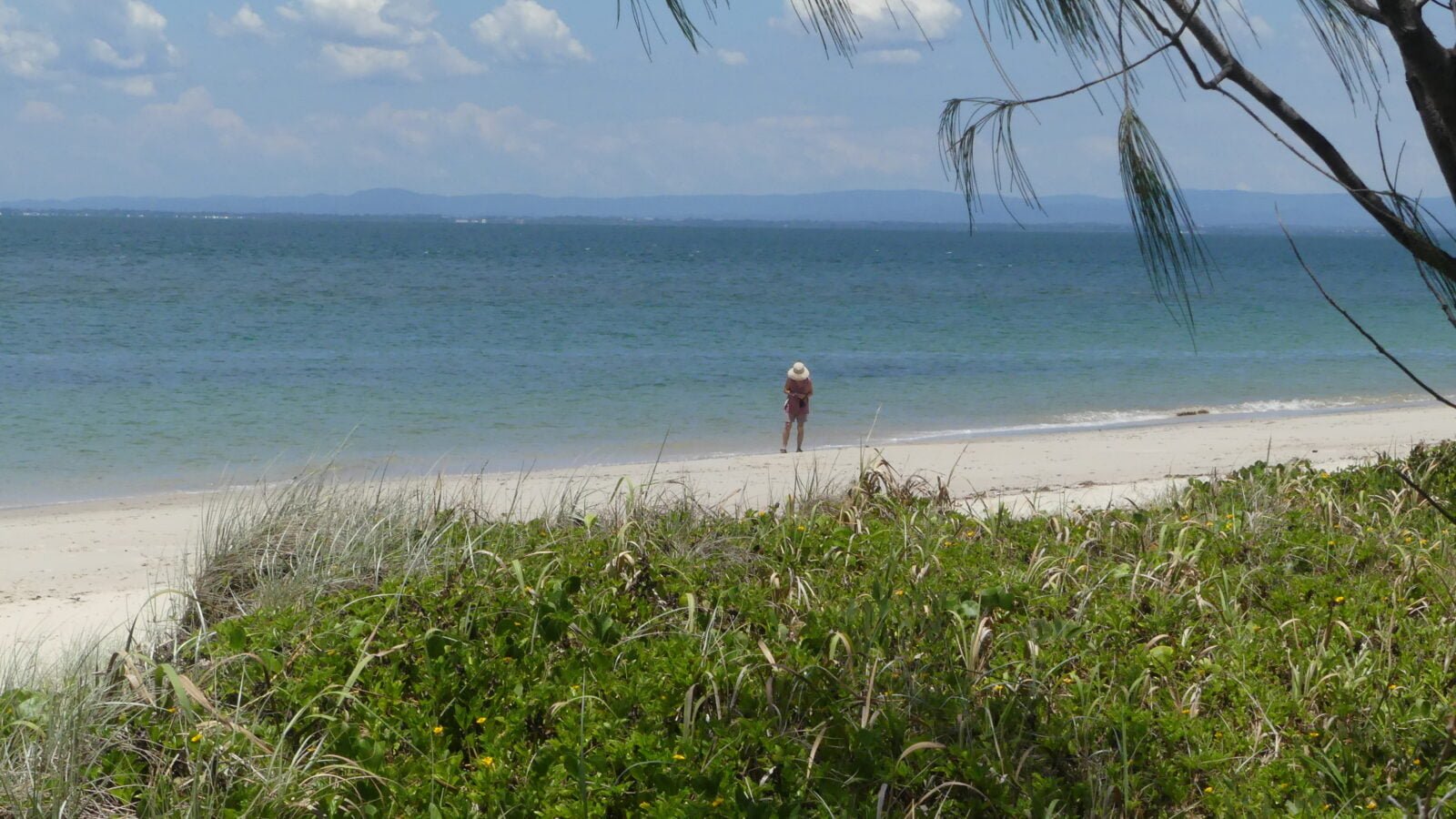 Summer on Bribie Island - Beach and Bush Walks | All Over Australia