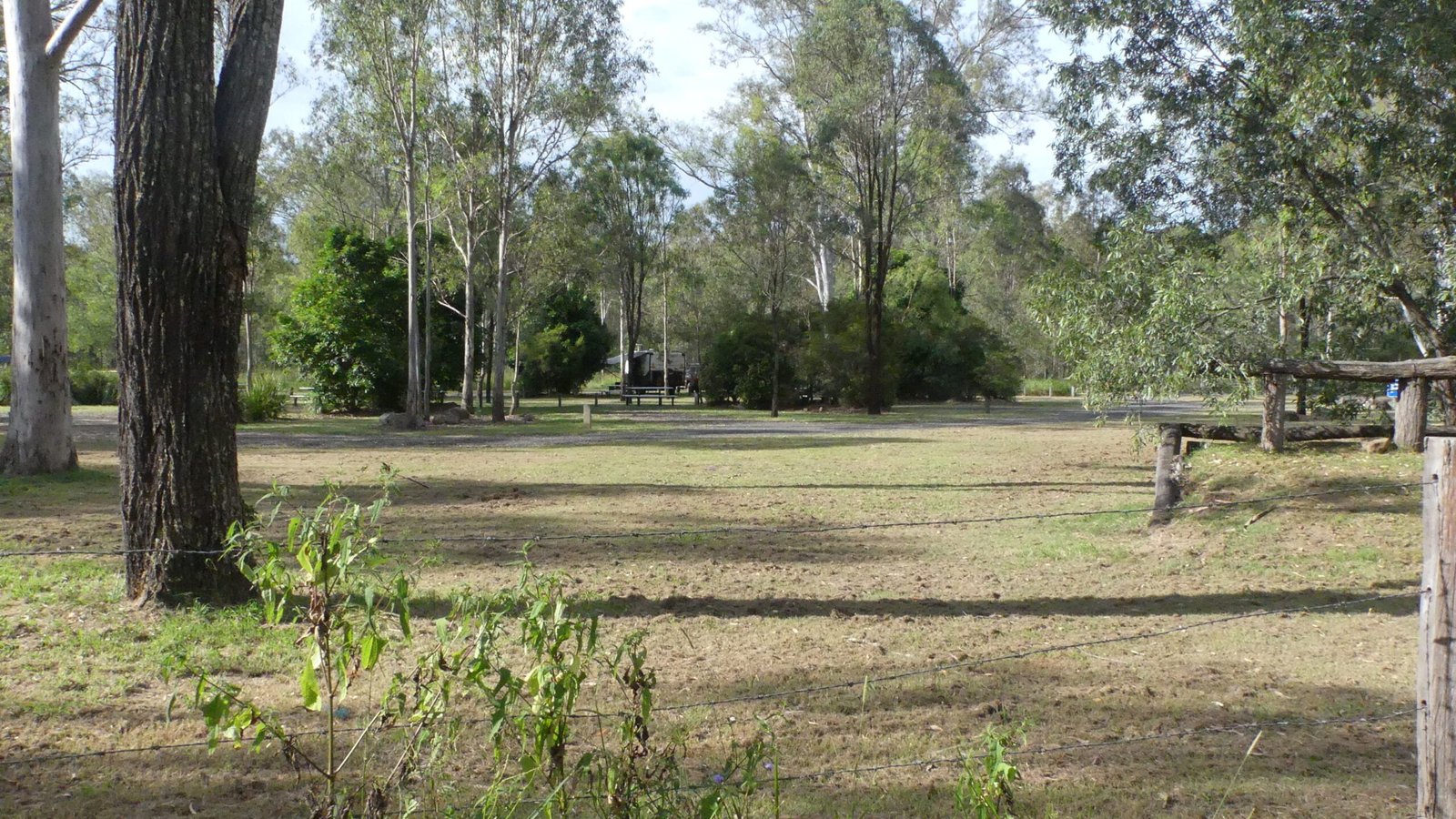 Hardings Paddock December 2022 | All Over Australia